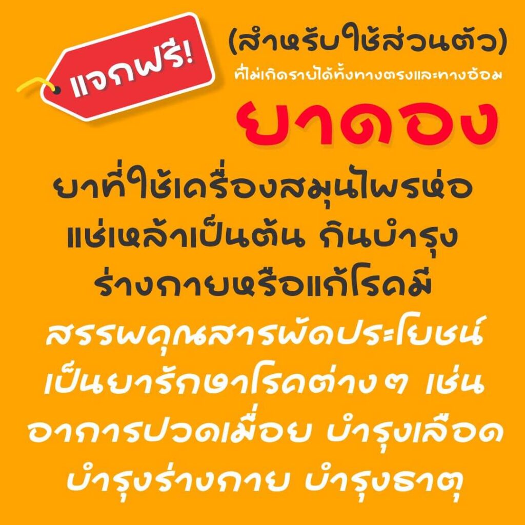 ยาดอง (MN Ya Dong) – ฟอนต์.คอม