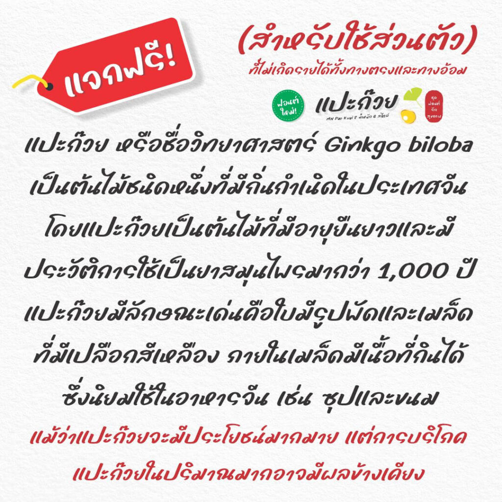 แปะก๊วย (MN Pae Kuai) – ฟอนต์.คอม